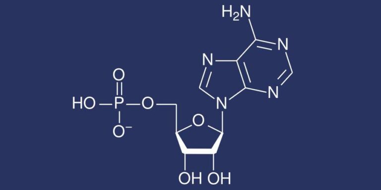 Adenosine for Hair Growth: Preventing Hair Loss and Alopecia